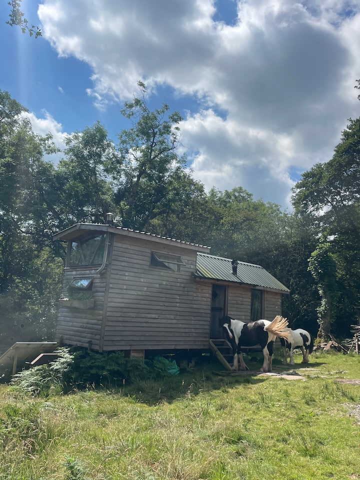 Cabin In Capel Y Ffin - Herefordshire