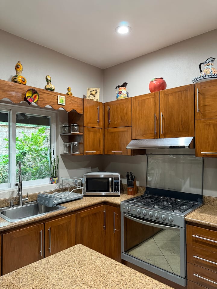 Casa Castellon En Puerto Vallarta Gaviotas - Conchas Chinas