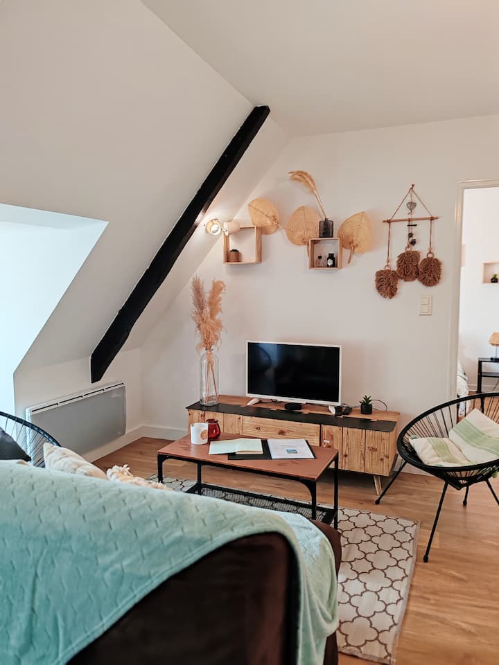 Le Petit Cordelier 3 èMe éTage - Dinan