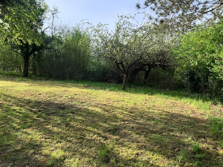 Emplacement Pour Camping Car - Amnéville