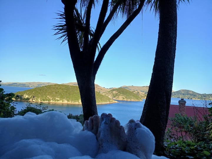 The Viewdio- Romantic Getaway With Outdoor Bath. - 但尼丁
