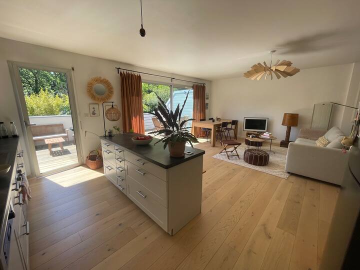 Superbe Duplex - Face Forêt - Bayonne