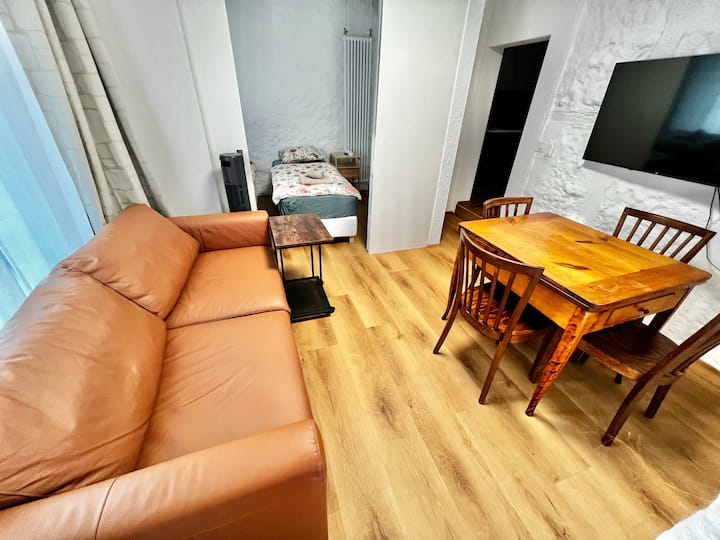 2br 4mins Walk Thalwil Station Parking Historical - Erlenbach