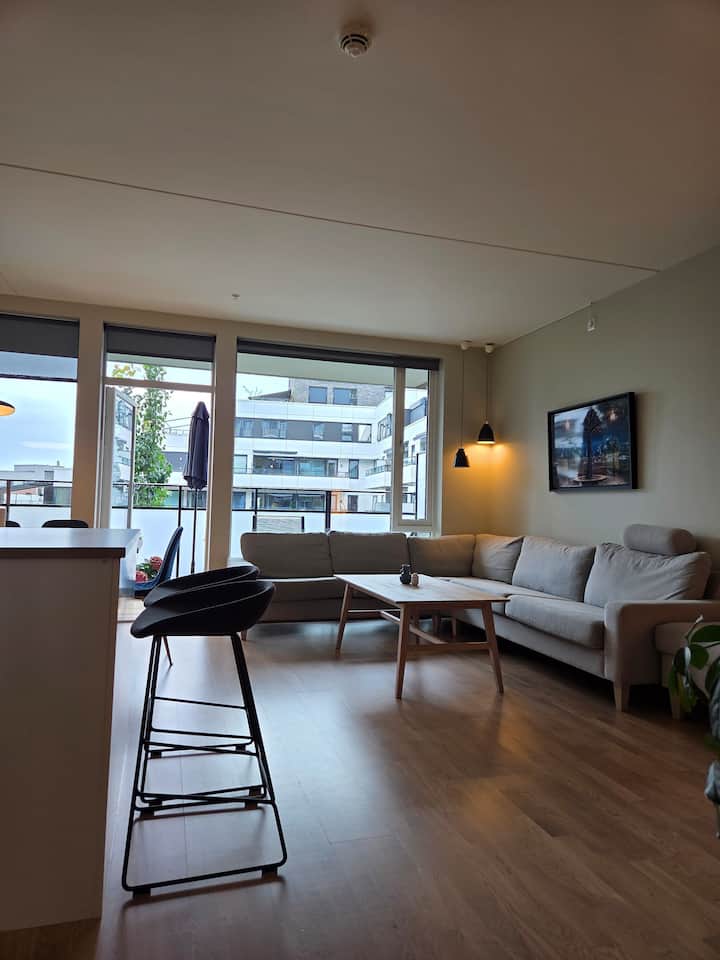 Leilighet I Gamle Oslo - Gangavstand Til Sentrum - Oslo