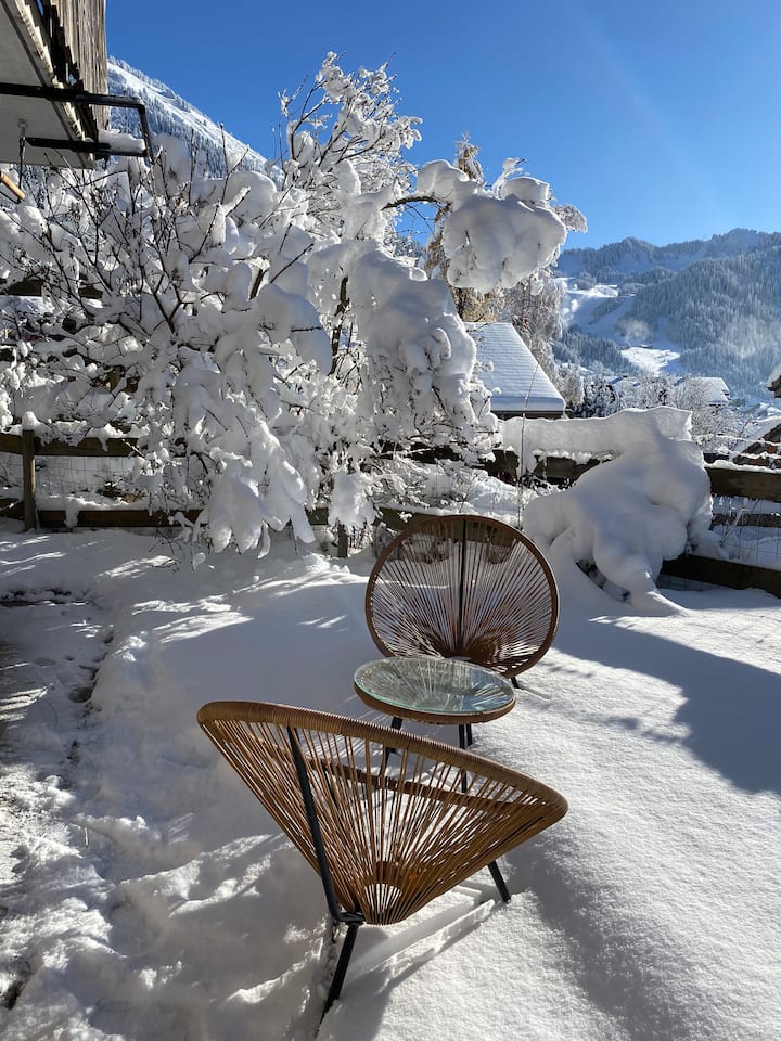 Joli Appartement Avec Terrasse - Châtel