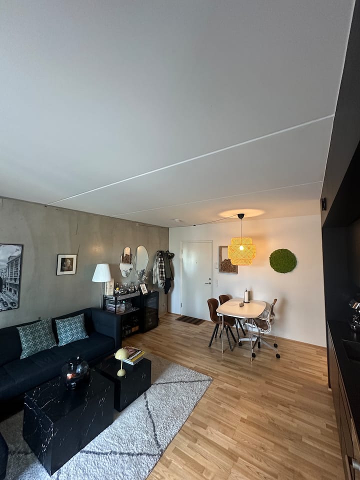 Penthouse Lejlighed - ÅRhus C - Aarhus
