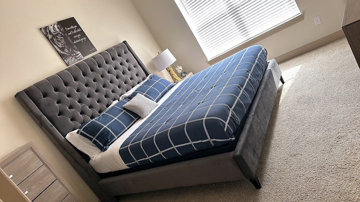 Fabulous Lodge By Med Center/ Nrg - Houston