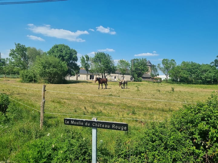 Maison 4 Chambres Près A11, Logis Du Château Rouge - Ancenis