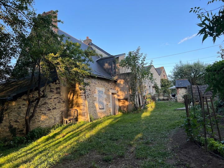 Calme Et Douceur Sur L’île De Chalonnes - Chalonnes-sur-Loire