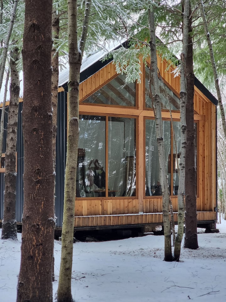 The Cabins Sierra Nevada - Lonquimay