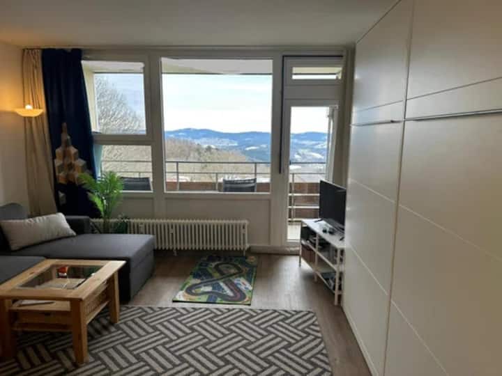 Kleine Familienfreundliche Fewo Bay. Wald Mit Pool - Freyung