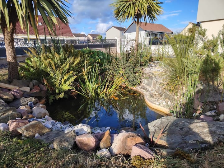 La Maison De La Baleine - Courseulles-sur-Mer