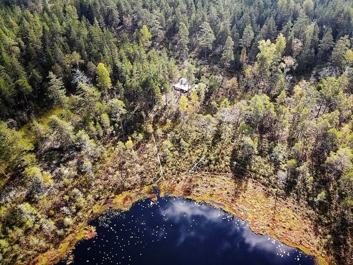 Lomtjärn - Schweden