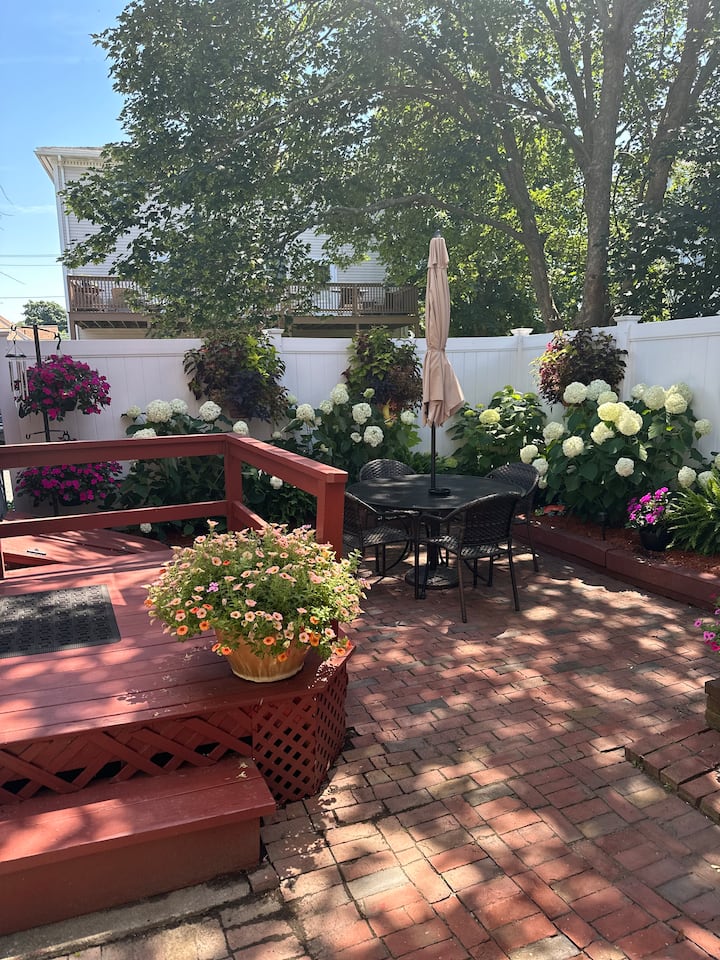 Downtown Dahlias - Half Moon Beach, Gloucester