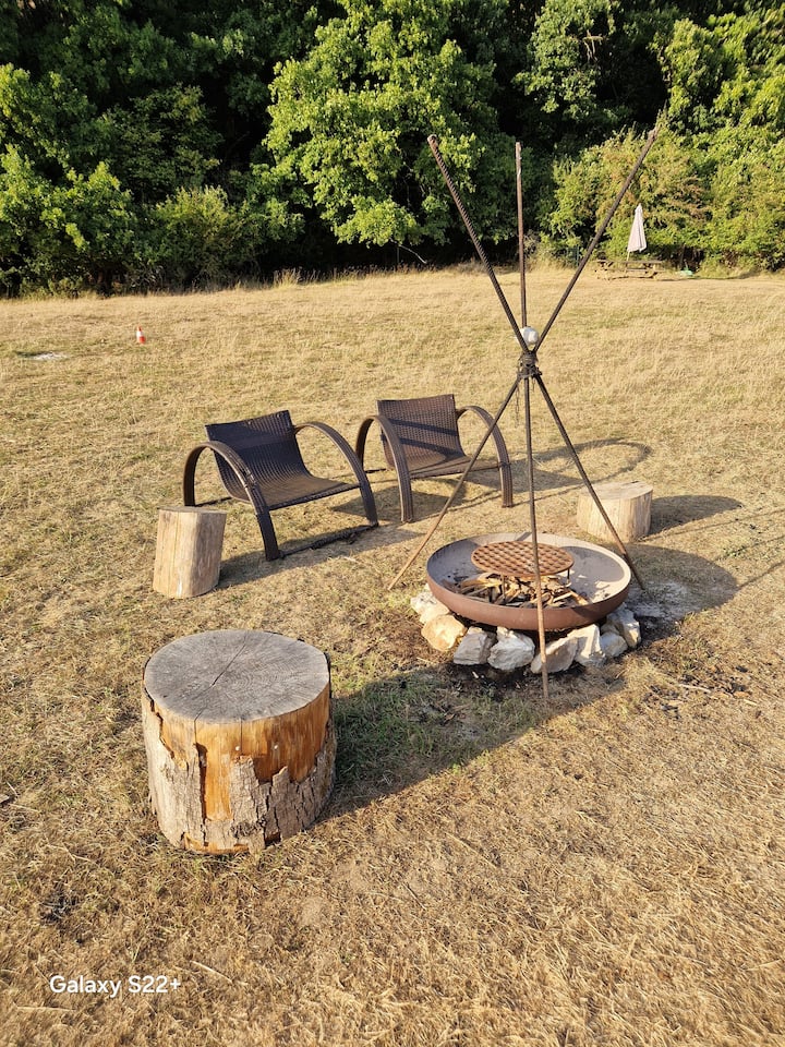 The Butterfly Field Roulotte - Viroinval