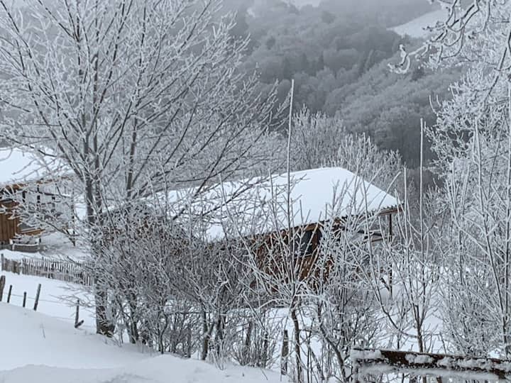 La Cabane De Romane : Insolite Sur Pilotis - Lac Pavin