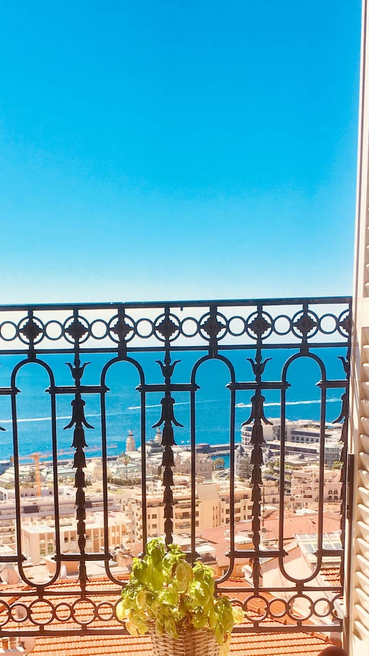 Monte Carlo à 2 Pas - Monte Carlo