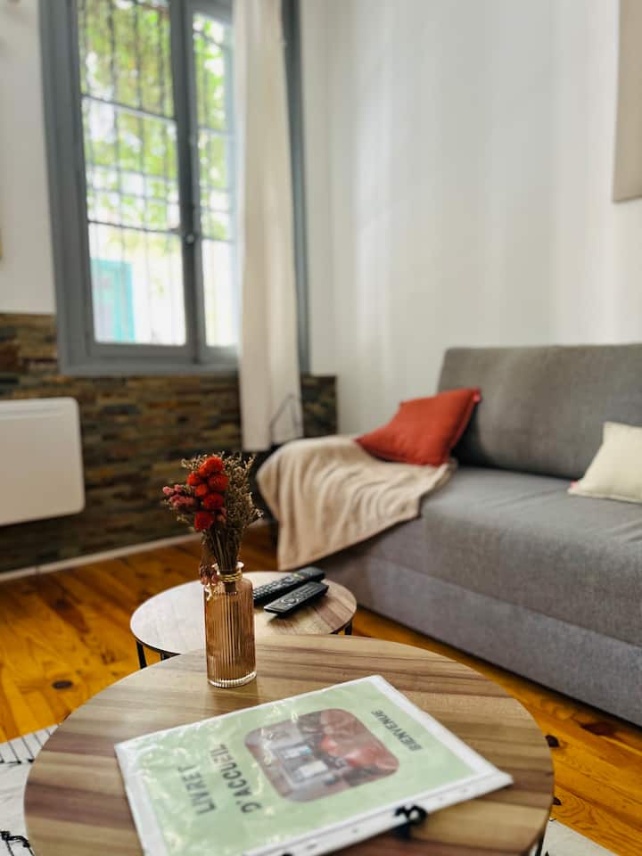 L'authentique - Plein Centre - ibis Perpignan Nord