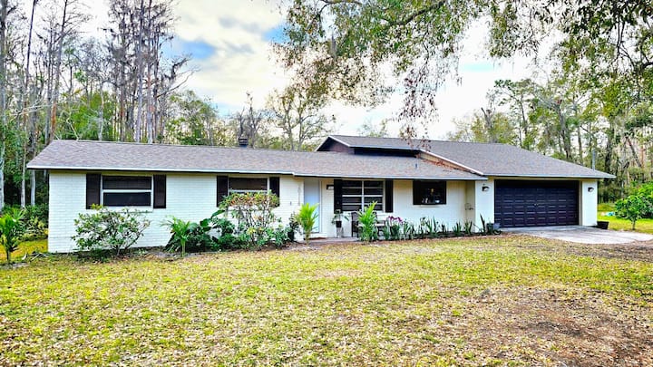 1 Acre Woods - Land O' Lakes, FL
