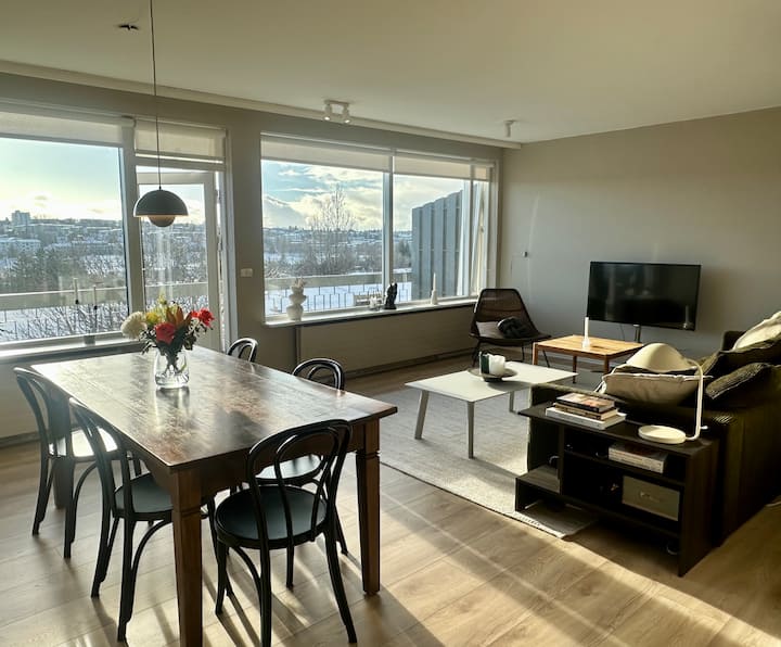 Spacious 2bdr Penthouse In Reykjavík - Reikiavik