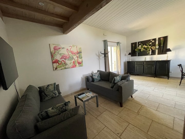 Villa Flamant En Camargue 77 M2 Jardin Privé - Saint-Martin-de-Crau