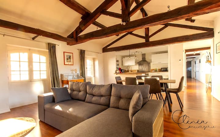 Le Quinze • 2 Chambres • Hyper Centre Albi • Wifi - Albi
