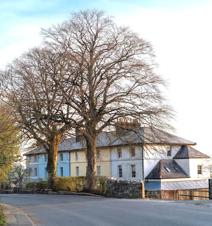 Garden Flat Georgian Townhouse. - Roadford Lake