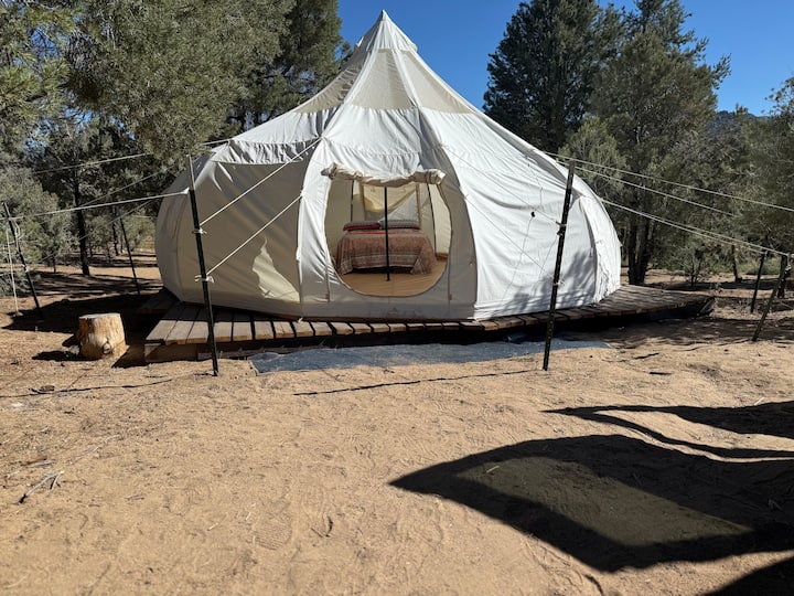 Spacious Mountain Yurt - United States