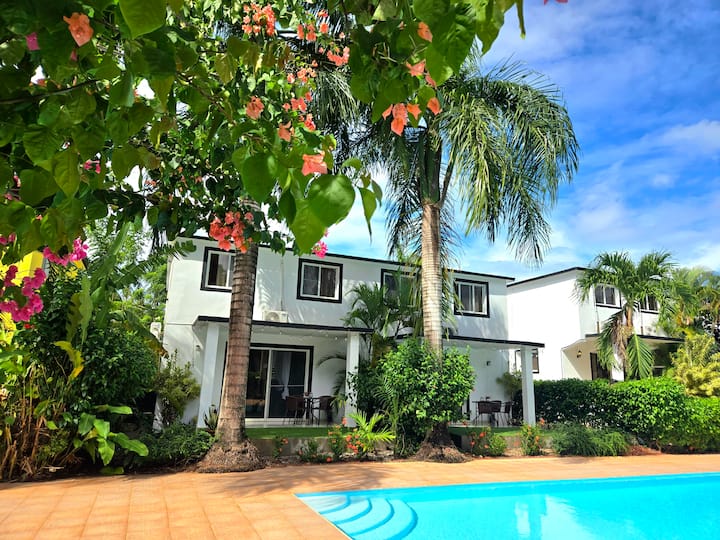 /Tranquility / Big Pool / Starlink/ Rio San Juan - République dominicaine