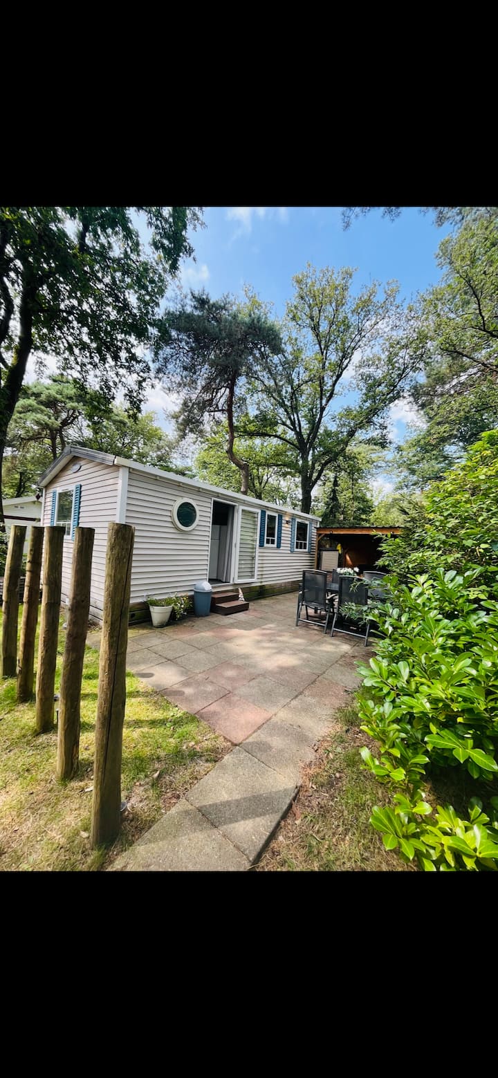 Gezinschalet Met Zwembad & Natuur - Kleine Belties - Hardenberg