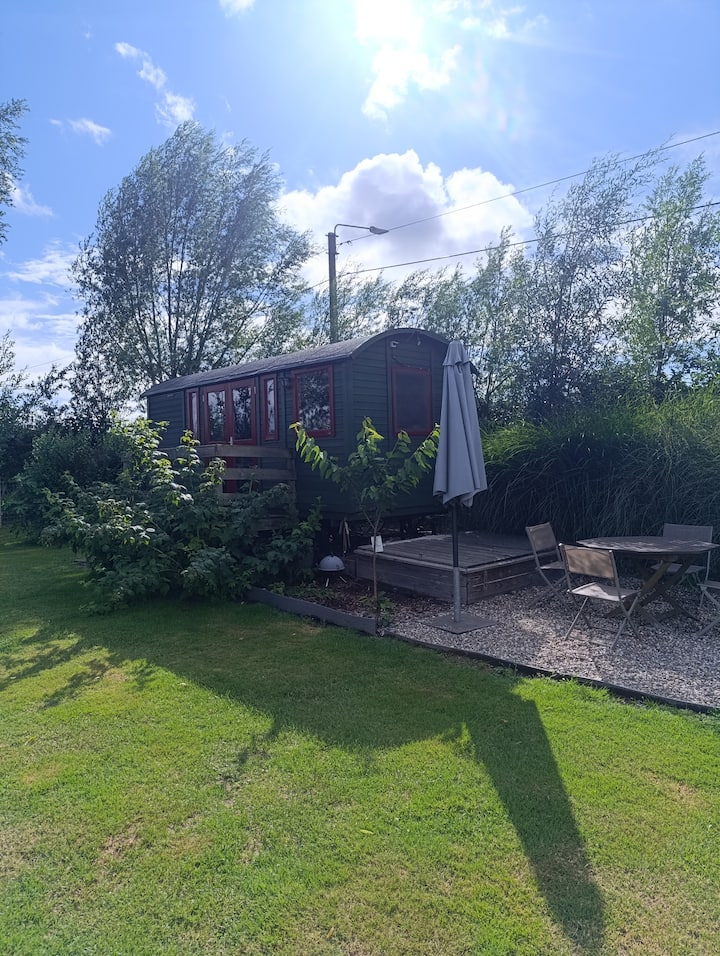 Mini Houten Huisje Met Zwemvijver,zicht Op Dieren - Oudenaarde