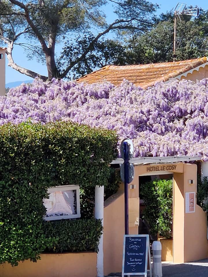 Petite Chambre Standard - Fréjus