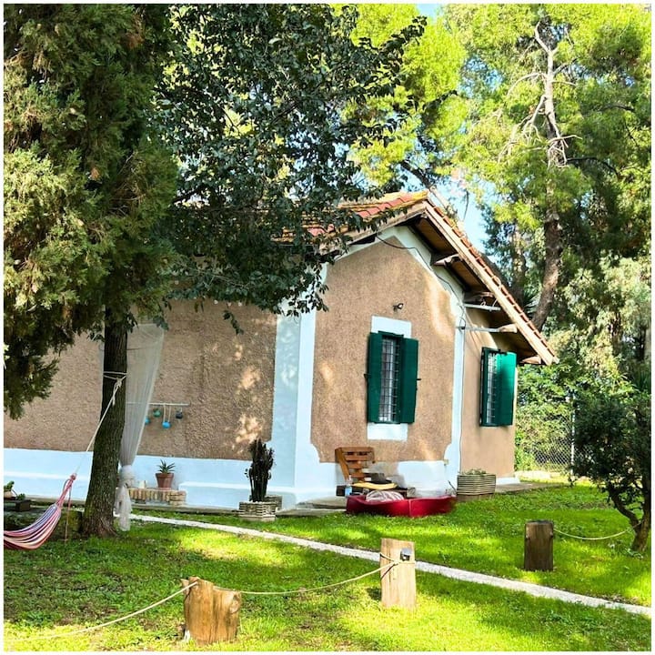 Casa Shanti - Frascati