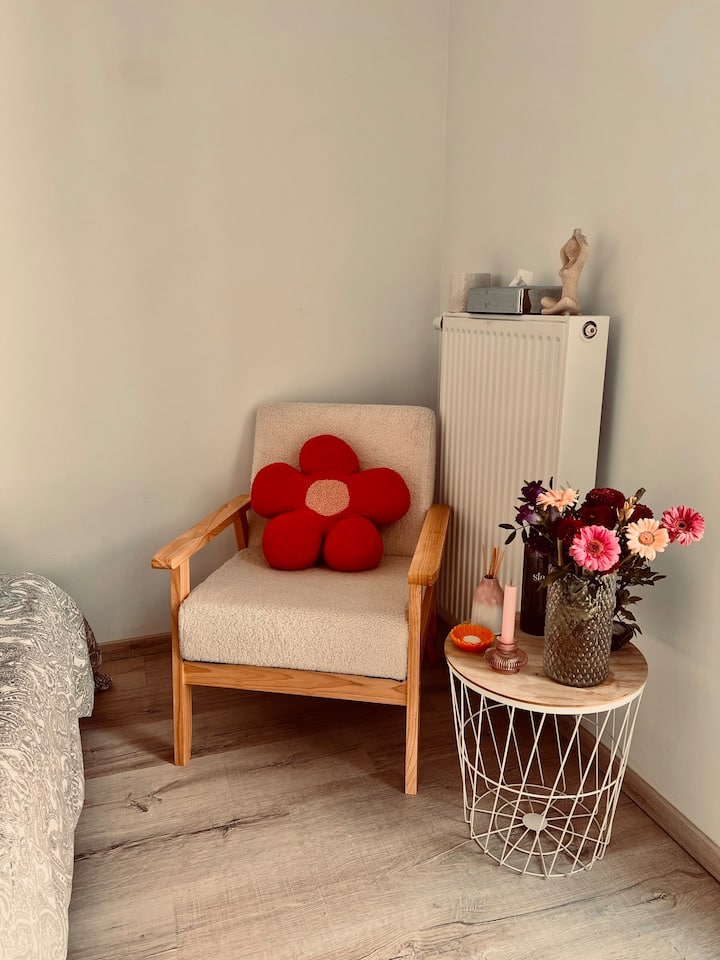 Idéal Face Au Stade Et Proche Aéroport ! - Meyzieu