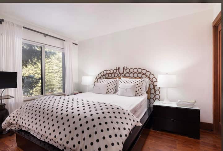 Foremen Welcome, Free Parking, Spring Skiing - Aspen, CO