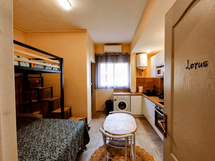 Lotus - Saint-Denis, La Réunion