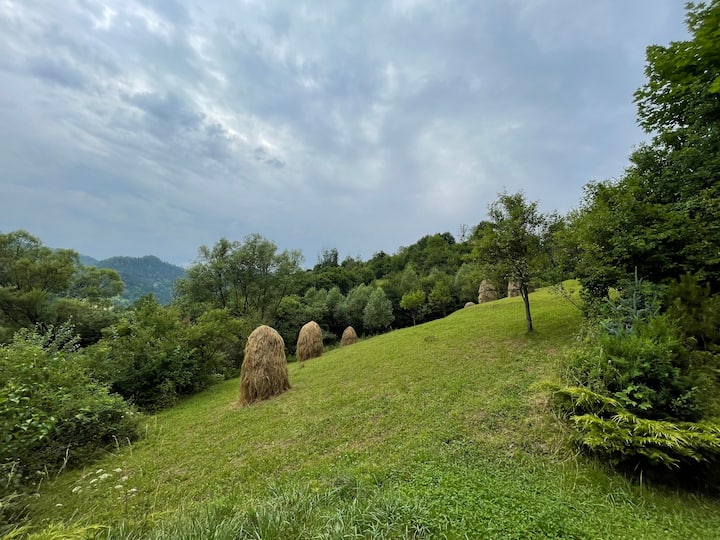 Willa Pod Sadami - Szczawnica