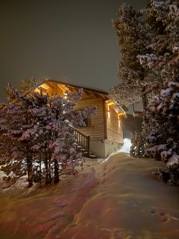 Grand Chalet Au Pied Des Pistes Dans Les Sapins - Les Angles