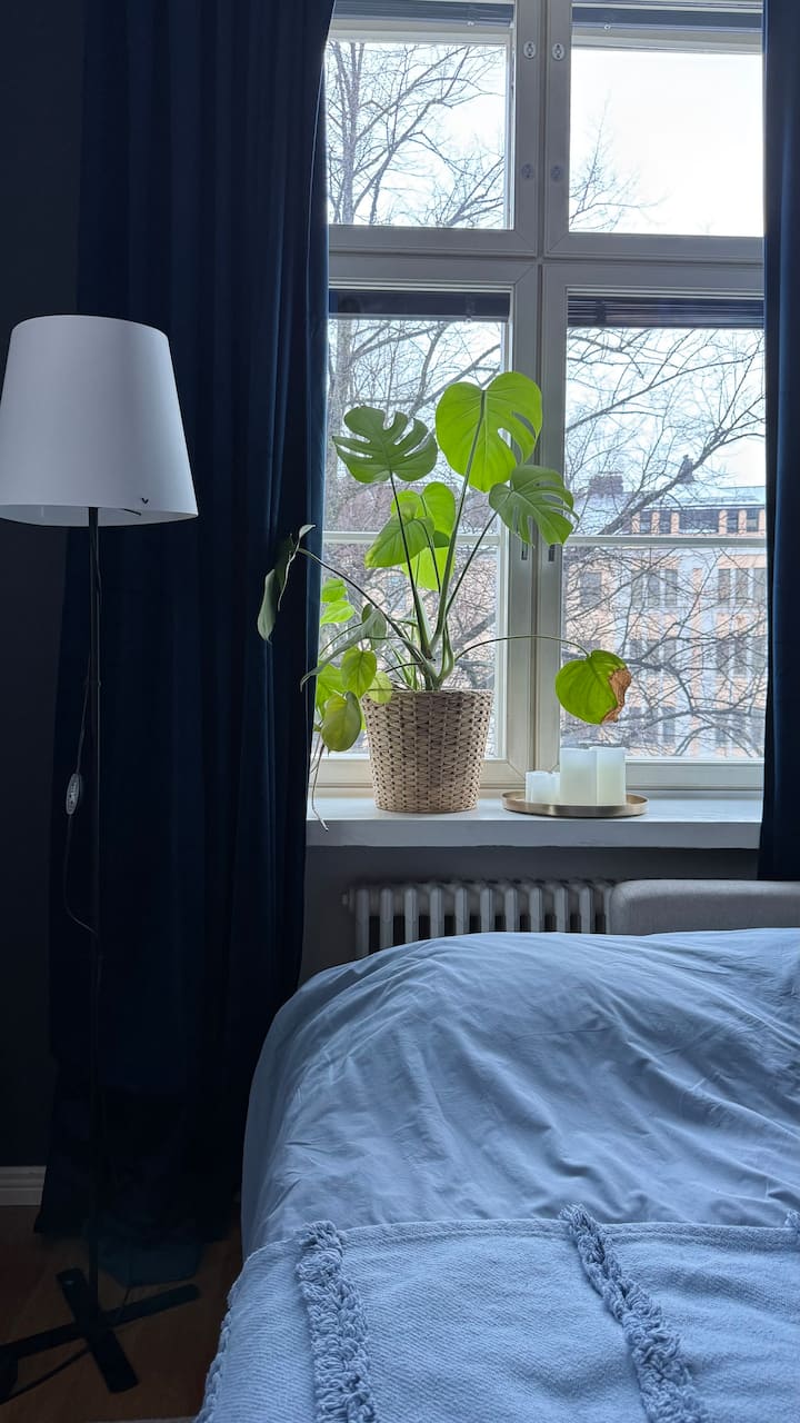 Pretty City Flat, Near Metro, Fast Wi-fi - Helsinki