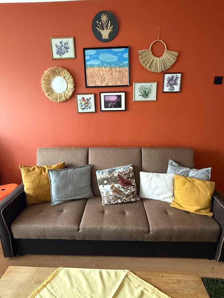 Cozy Vintage Apartment - Vilnius
