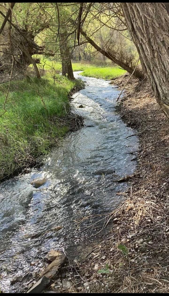 Private Creekside Retreat 1 Min To Deadwood~1 Acre - Deadwood, SD