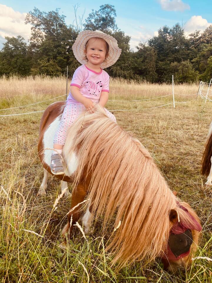Bauernhof Mit Eigenem Pony - Gelnhausen