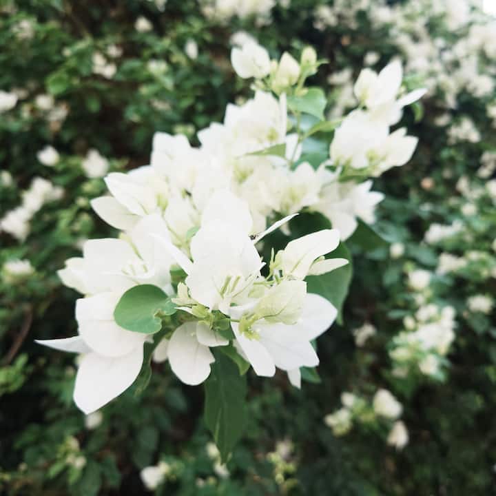 La Cour Chez Moi Chez Toi - Tainan City