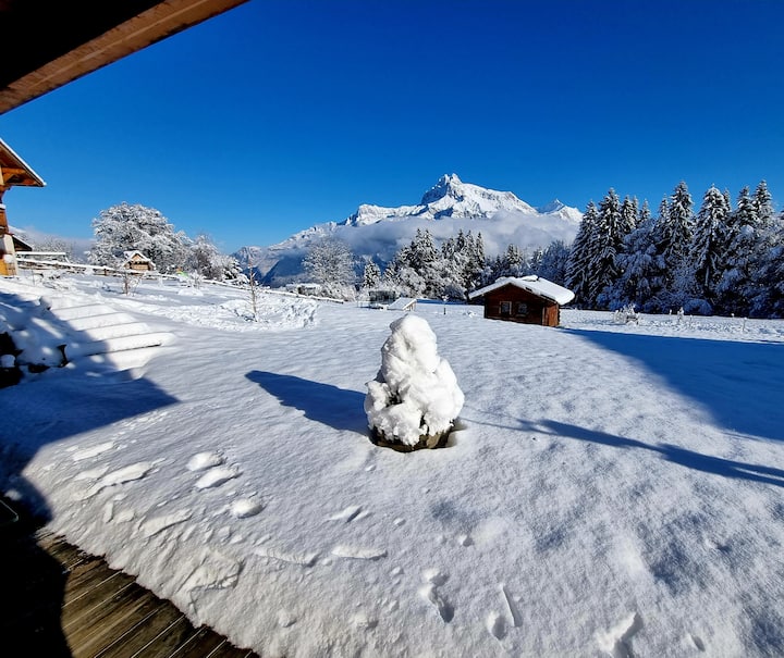 Cosy 2 Pièces 40 M² - Rez De Jardin - 5 Min Pistes - Combloux