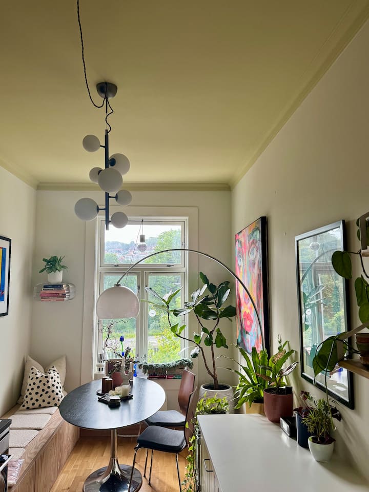 Sjarmerende Sentrumsleilighet - Oslo