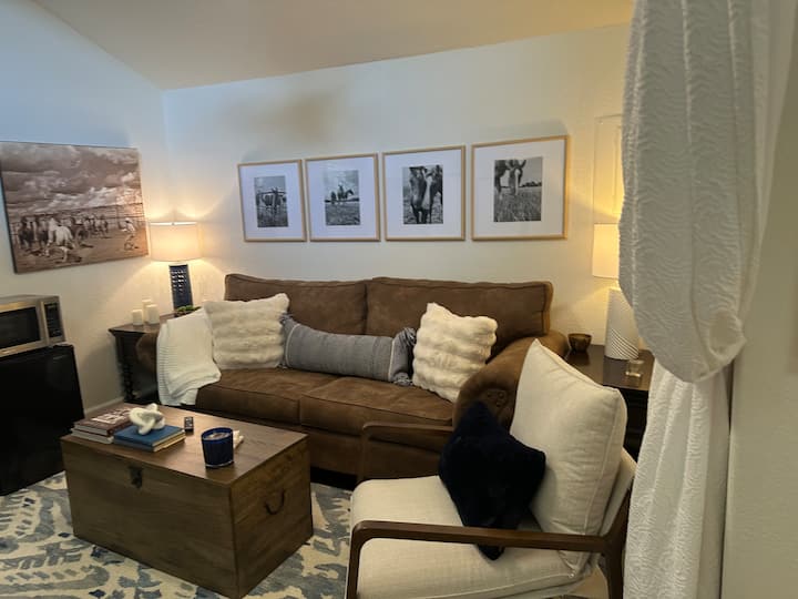 Cultural District Studio Loft - Lake Worth, TX