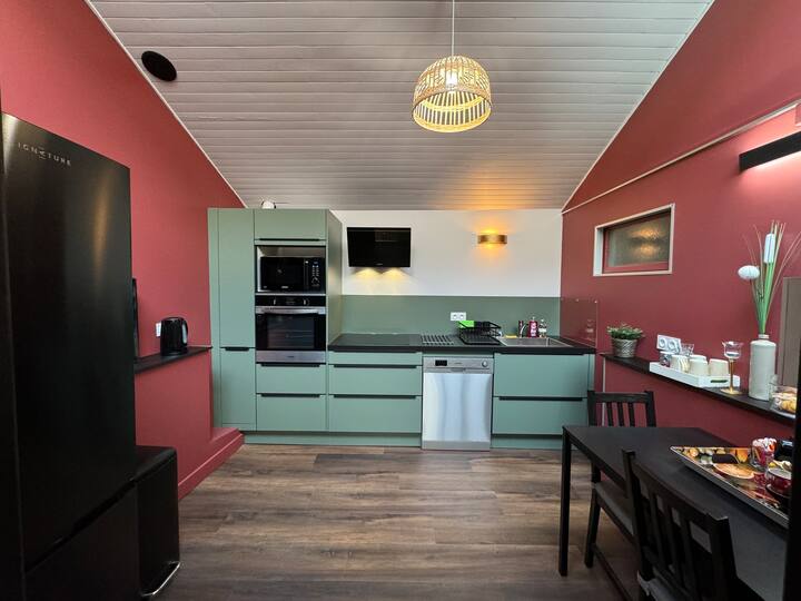 Gite Maison + Duplex Le Charles Ix - Condrieu