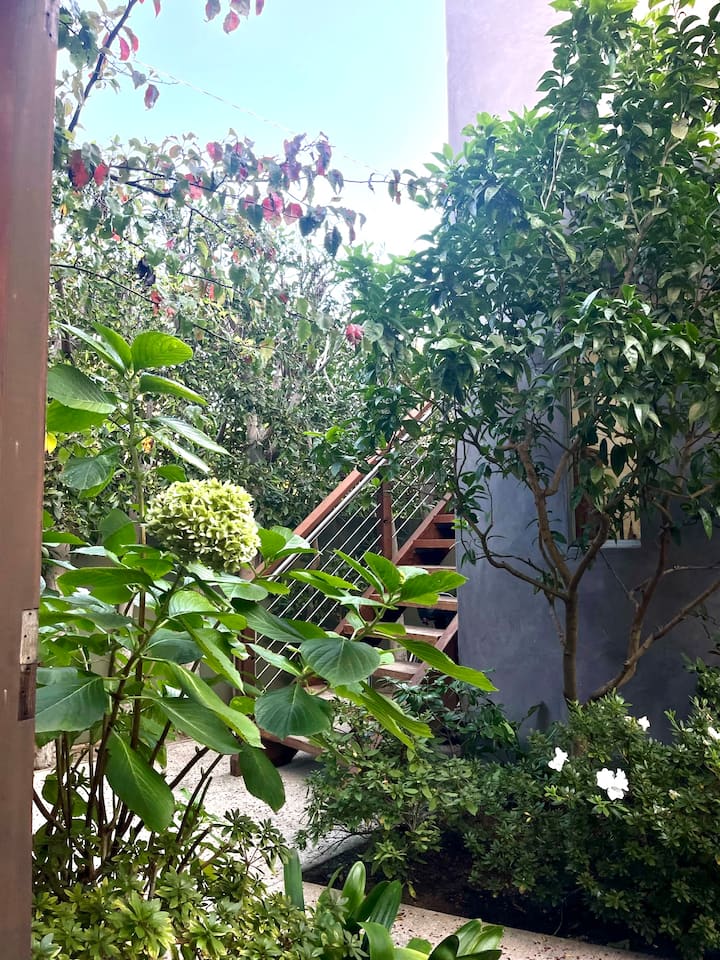 The Treehouse - 1 Bed Apartment In Venice Beach - Rustic Canyon - Los Angeles