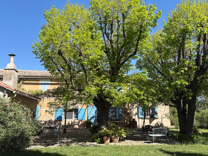 Le Mas Des Glycines - Cavaillon