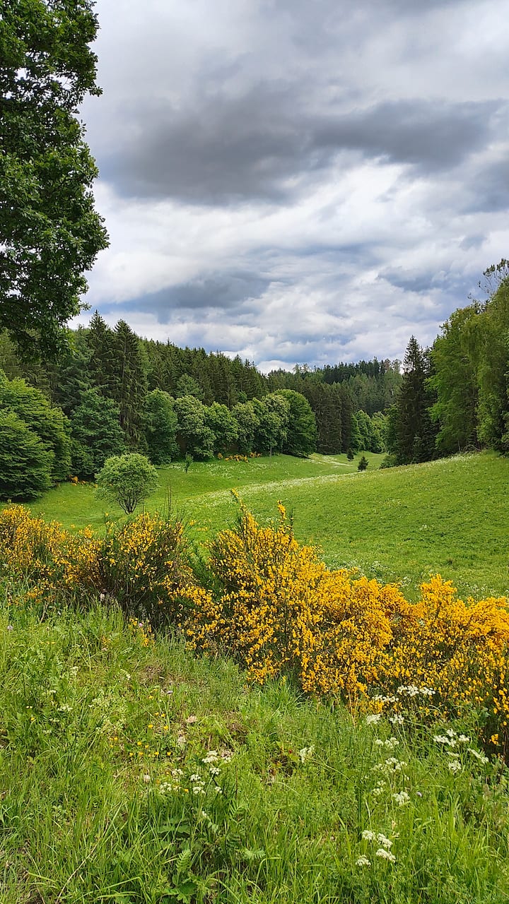Waldhäuschen 30/1 Im Grünen Tal - Hildburghausen